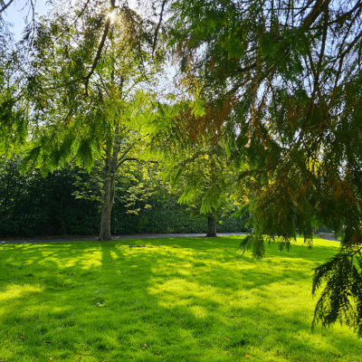 Whalley community shares views on future of Clay Fields :: Lancashire ...